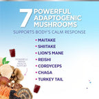 Mushroom gummies for daily health boost