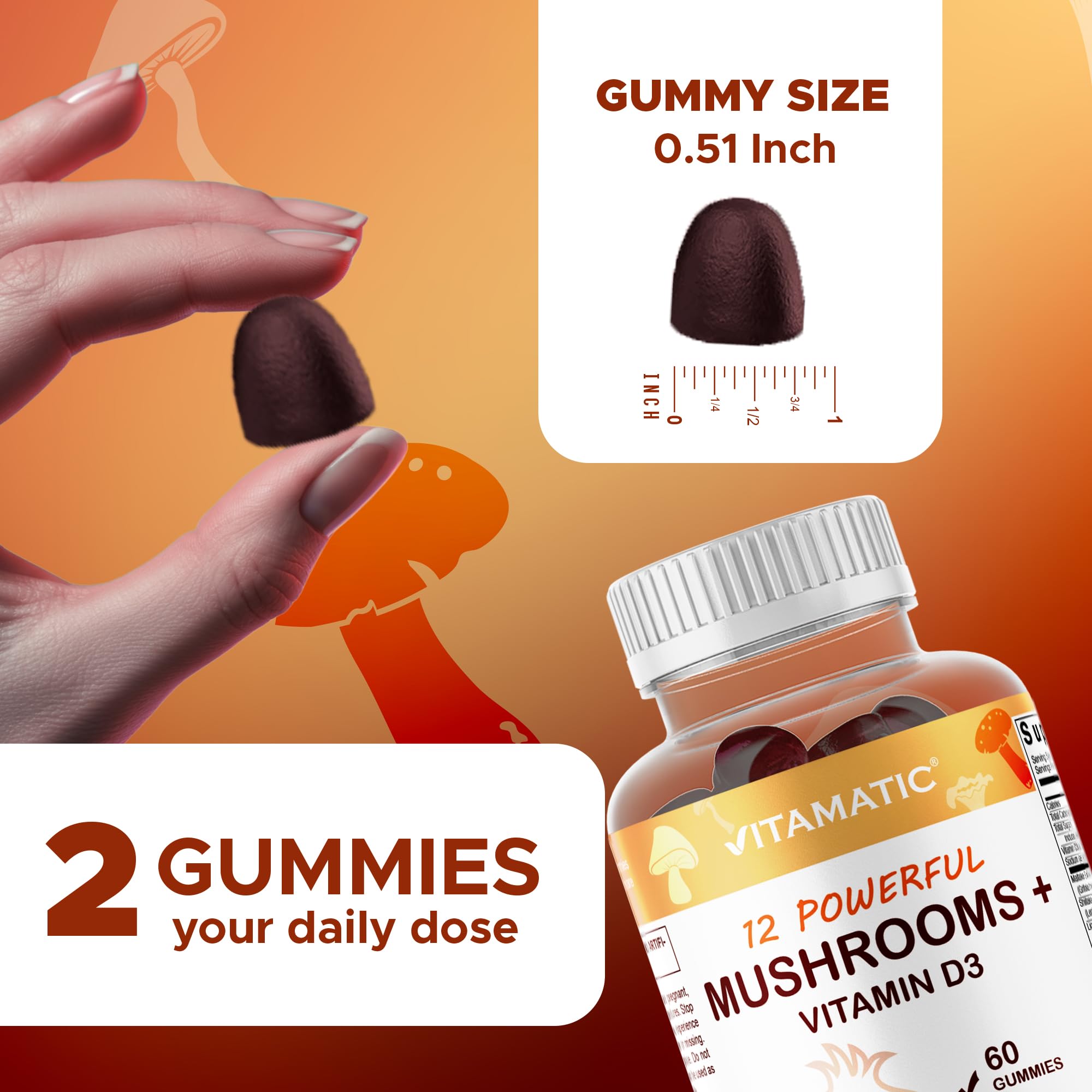 mushroom gummies for daily health