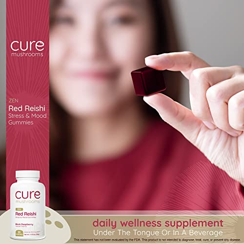 mushroom gummies for daily health
