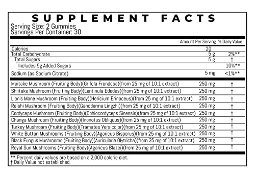 mushroom gummies for daily health