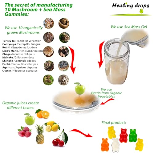 mushroom gummies for daily health