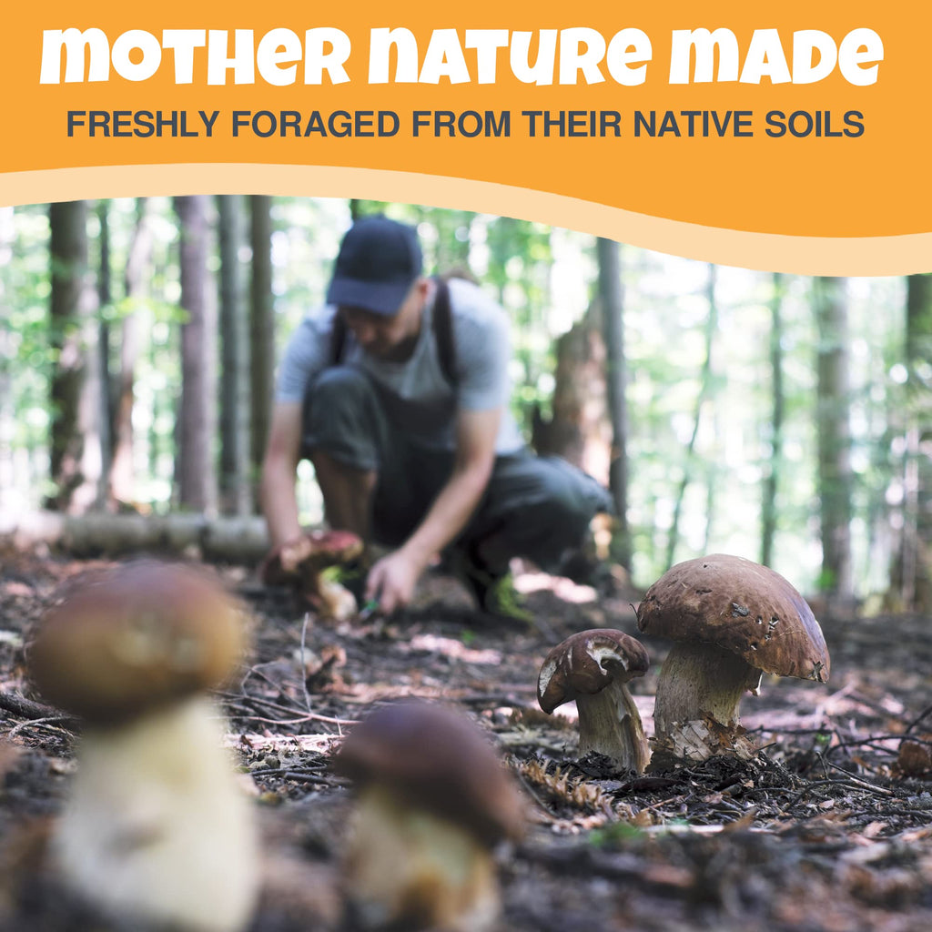 mushroom gummies for daily nutrition