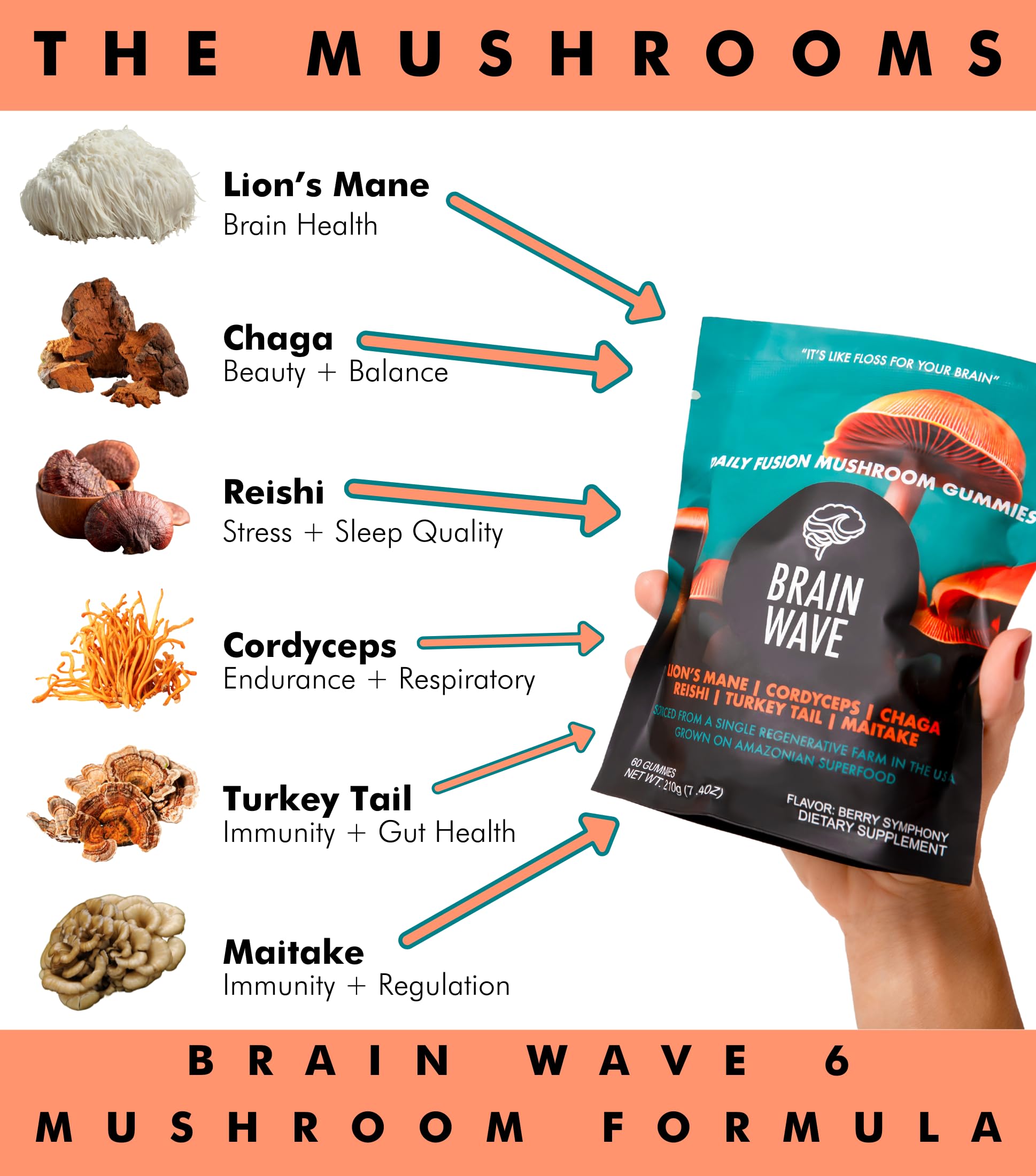 mushroom gummies for immune support
