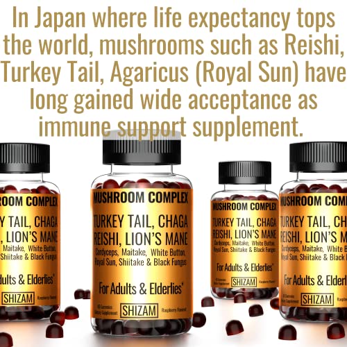 mushroom gummies for immune system boost