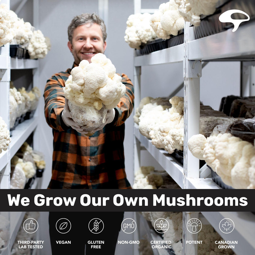 Mushroom gummies for overall health support