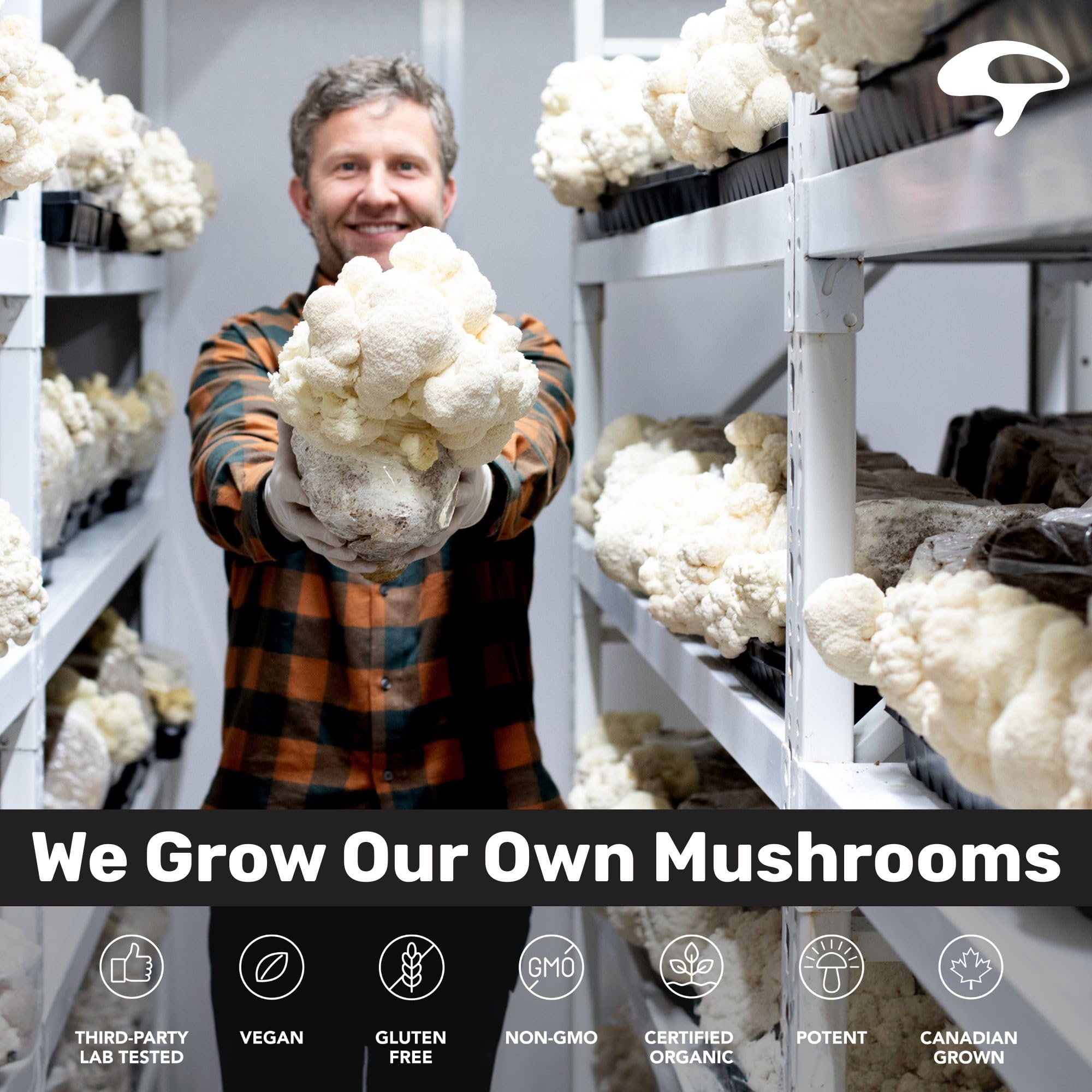 Mushroom gummies for overall health support