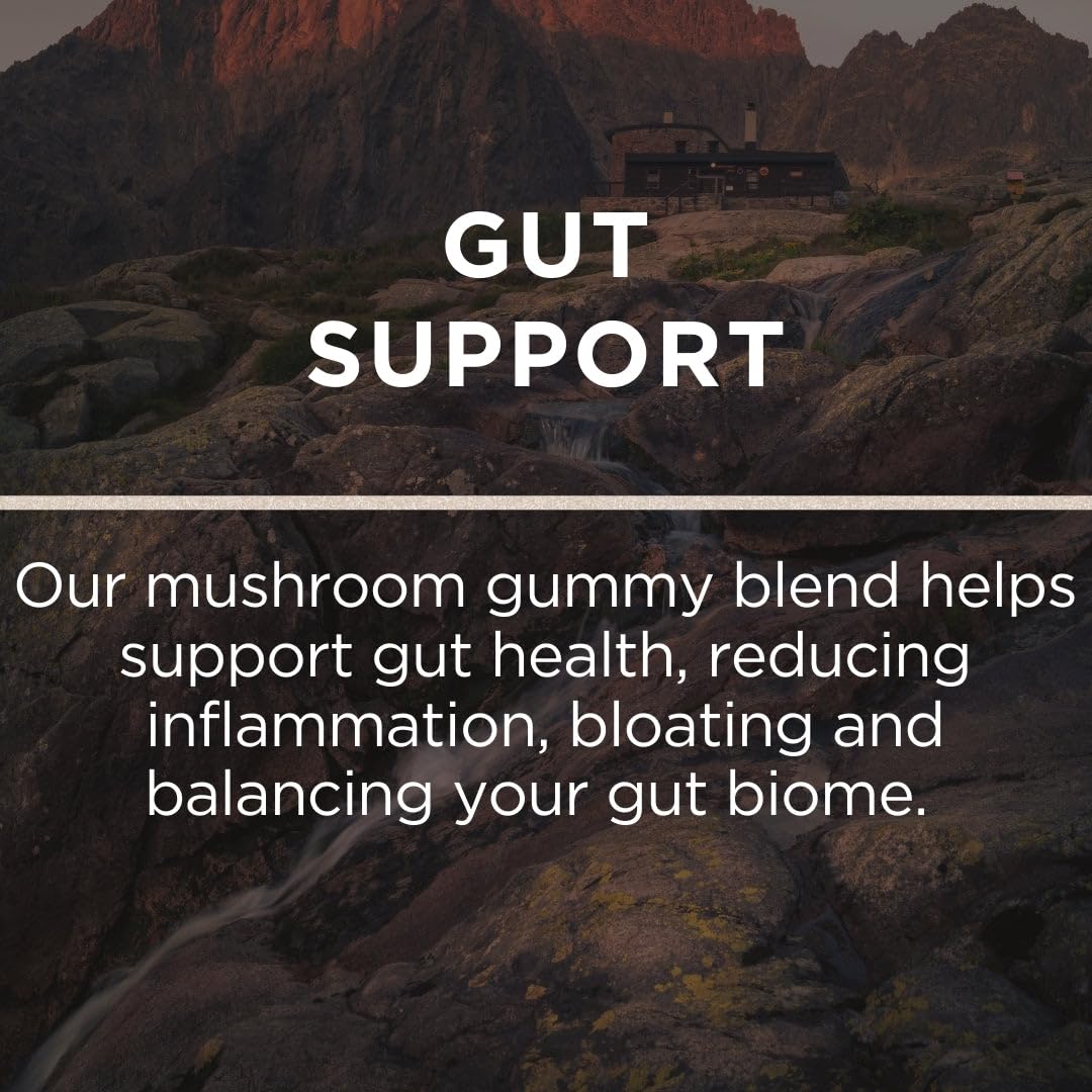 Mushroom gummies for overall wellness