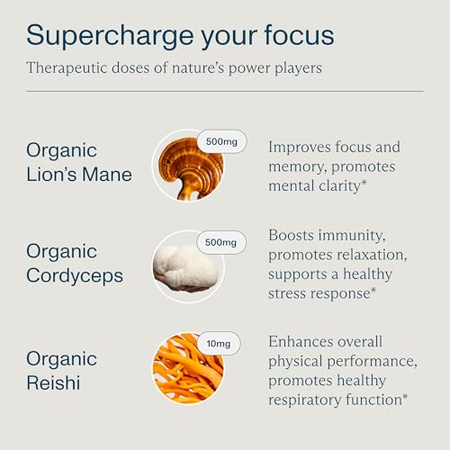 mushroom gummies with Reishi benefits