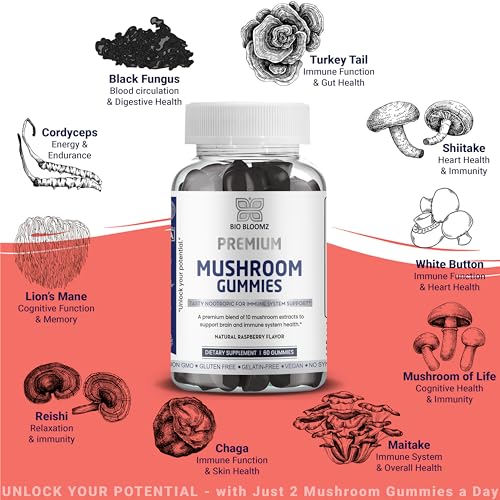mushroom gummies with turkey tail extract