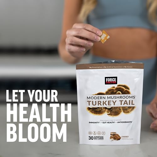 Mushroom health chews for daily nutrition