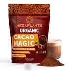 Mushroom hot chocolate blend