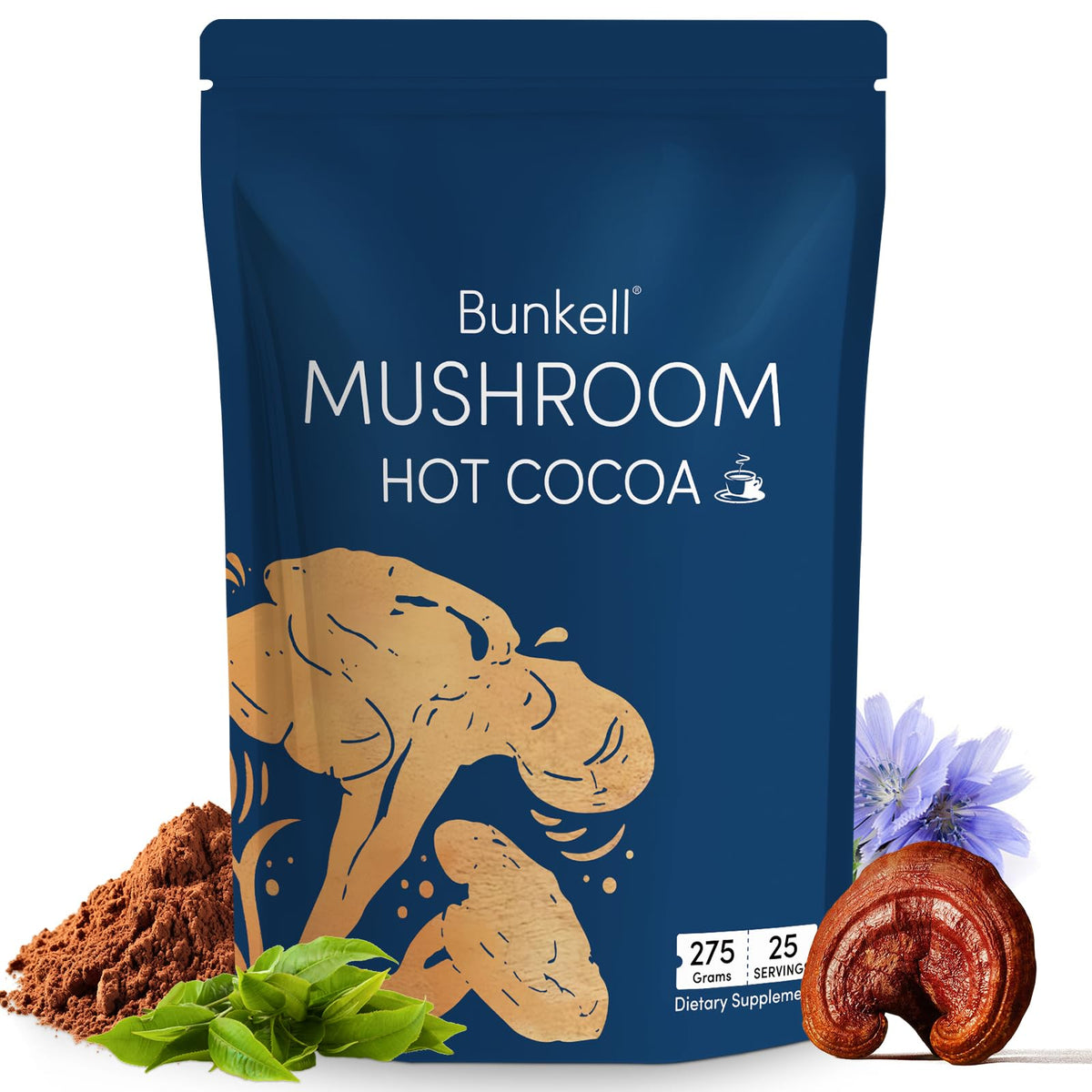 mushroom hot cocoa blend benefits
