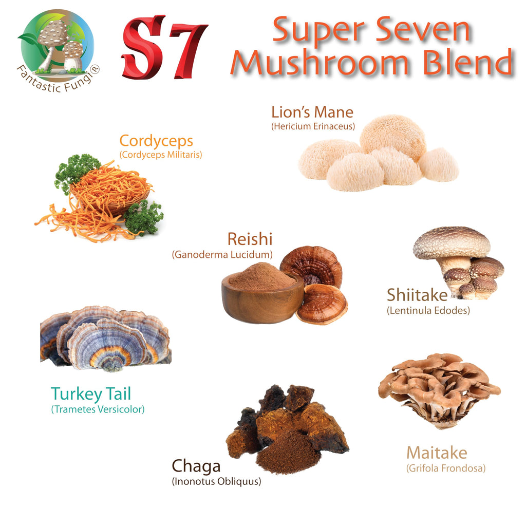 mushroom-infused beverage for health