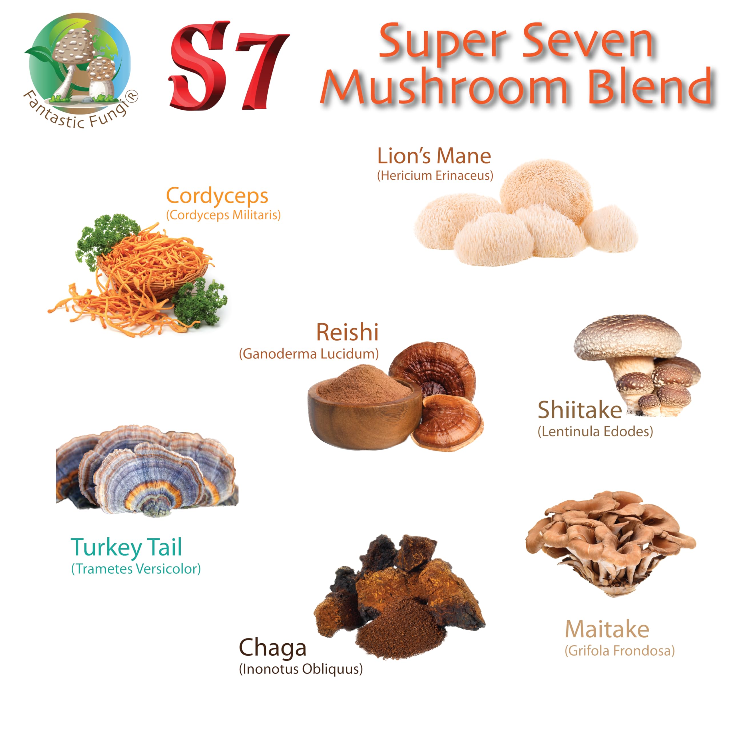 mushroom-infused beverage for health