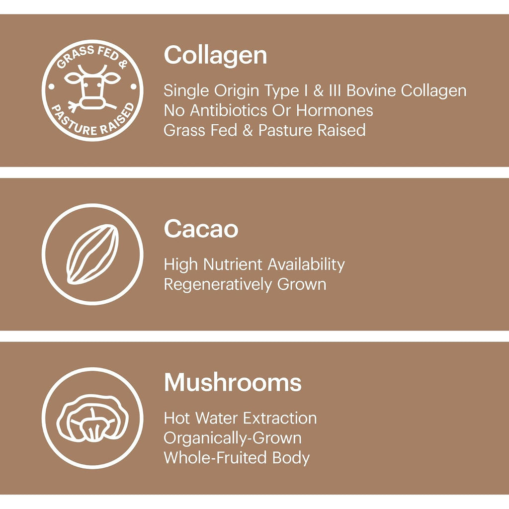 Mushroom-infused collagen powder for vitality
