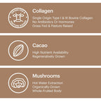 Mushroom-infused collagen powder for vitality