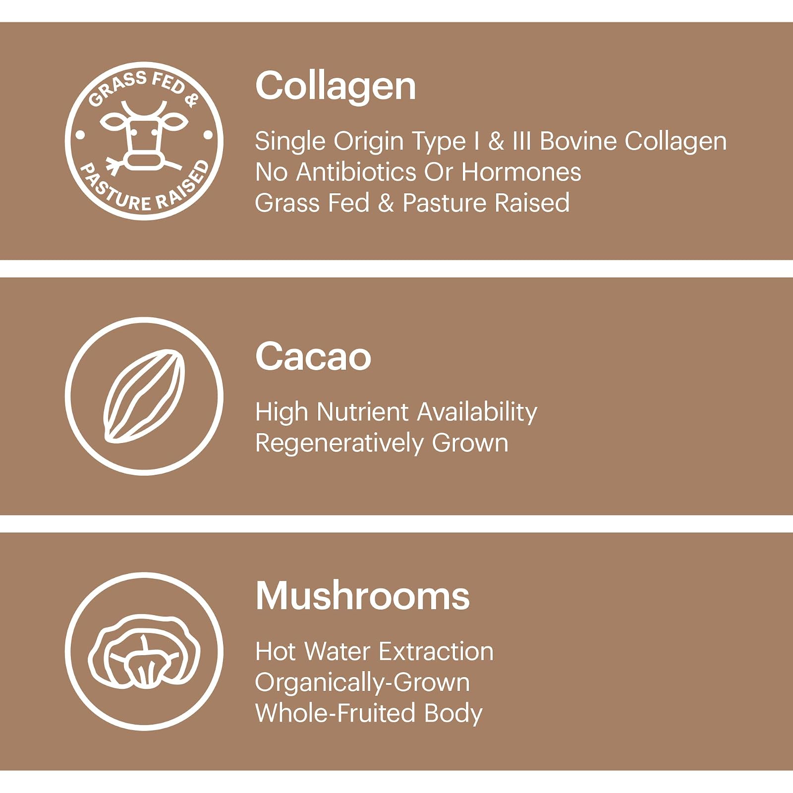 Mushroom-infused collagen powder for vitality