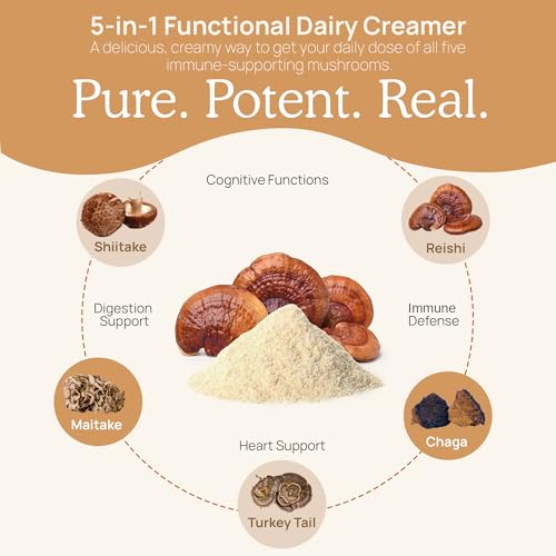 mushroom-infused dairy creamer benefits