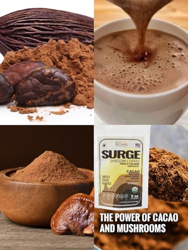 mushroom-infused dark chocolate delight