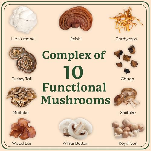 mushroom-infused energy boost