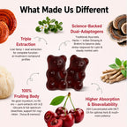 Mushroom-infused GABA gummies for mood support