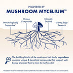 Mushroom-infused gummies for daily vitality