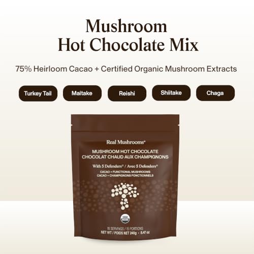 mushroom-infused hot chocolate for wellness