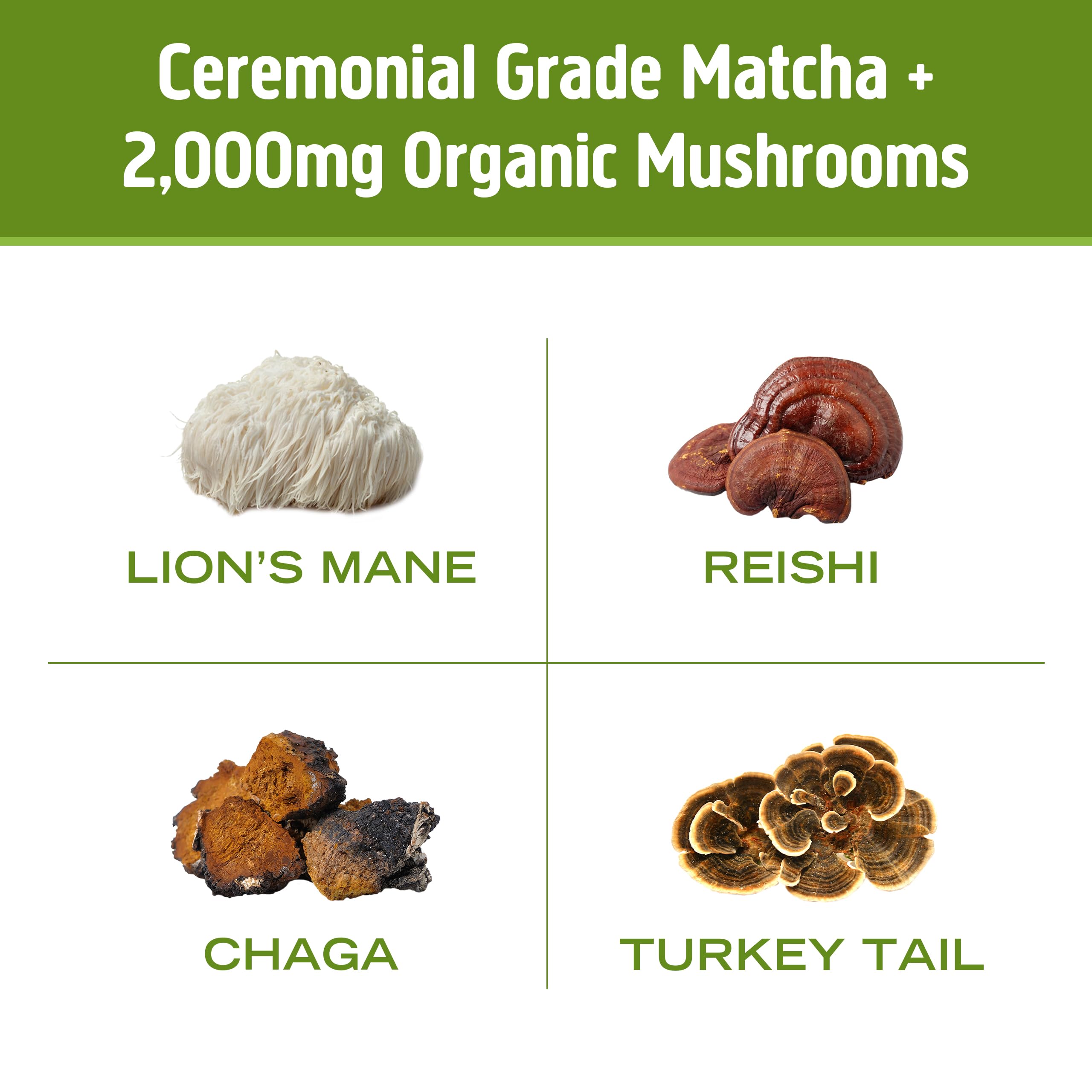 mushroom latte for a healthy lifestyle