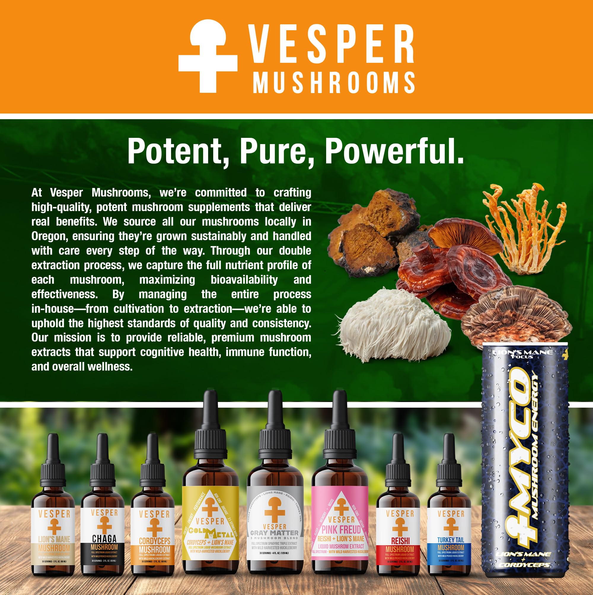 mushroom liquid for daily wellness