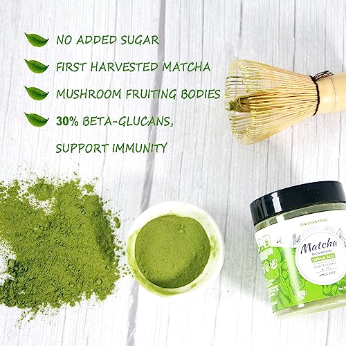 mushroom matcha for daily vitality