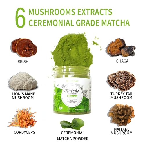 mushroom matcha powder for wellness