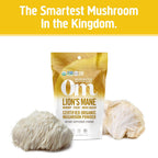 Mushroom Matrix Lion's Mane supplement