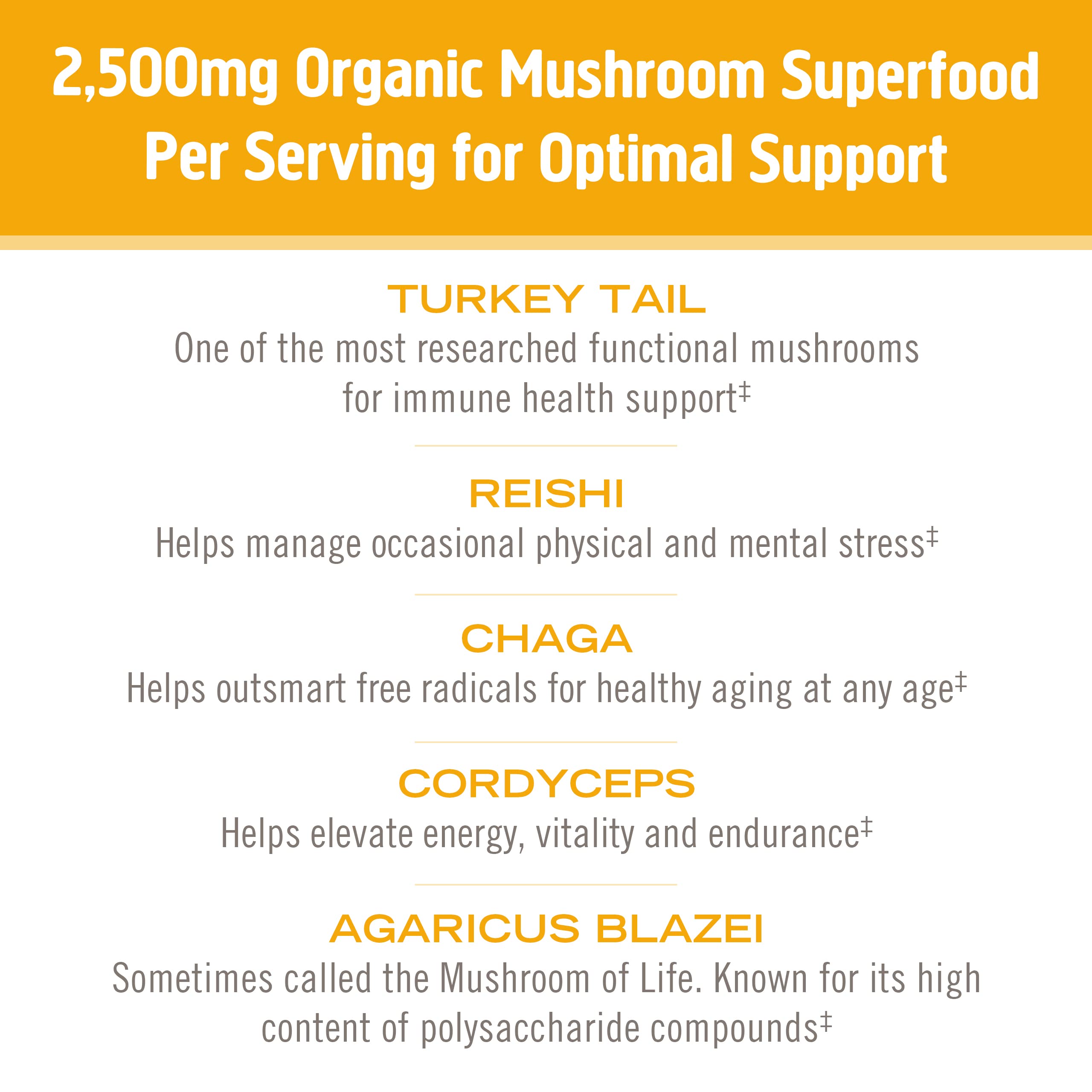 Mushroom mix for vitality