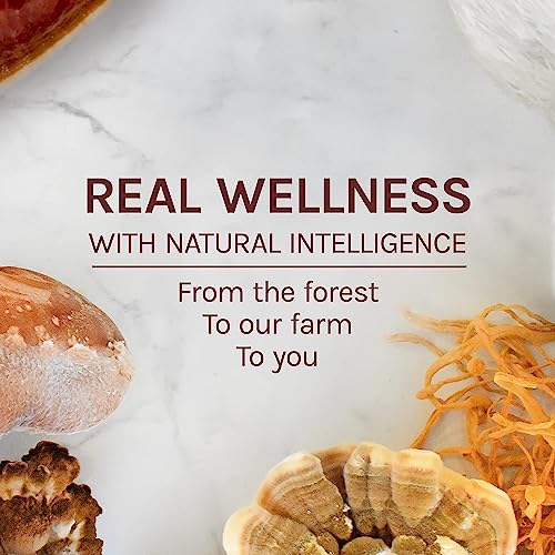 Mushroom mycelium for health support