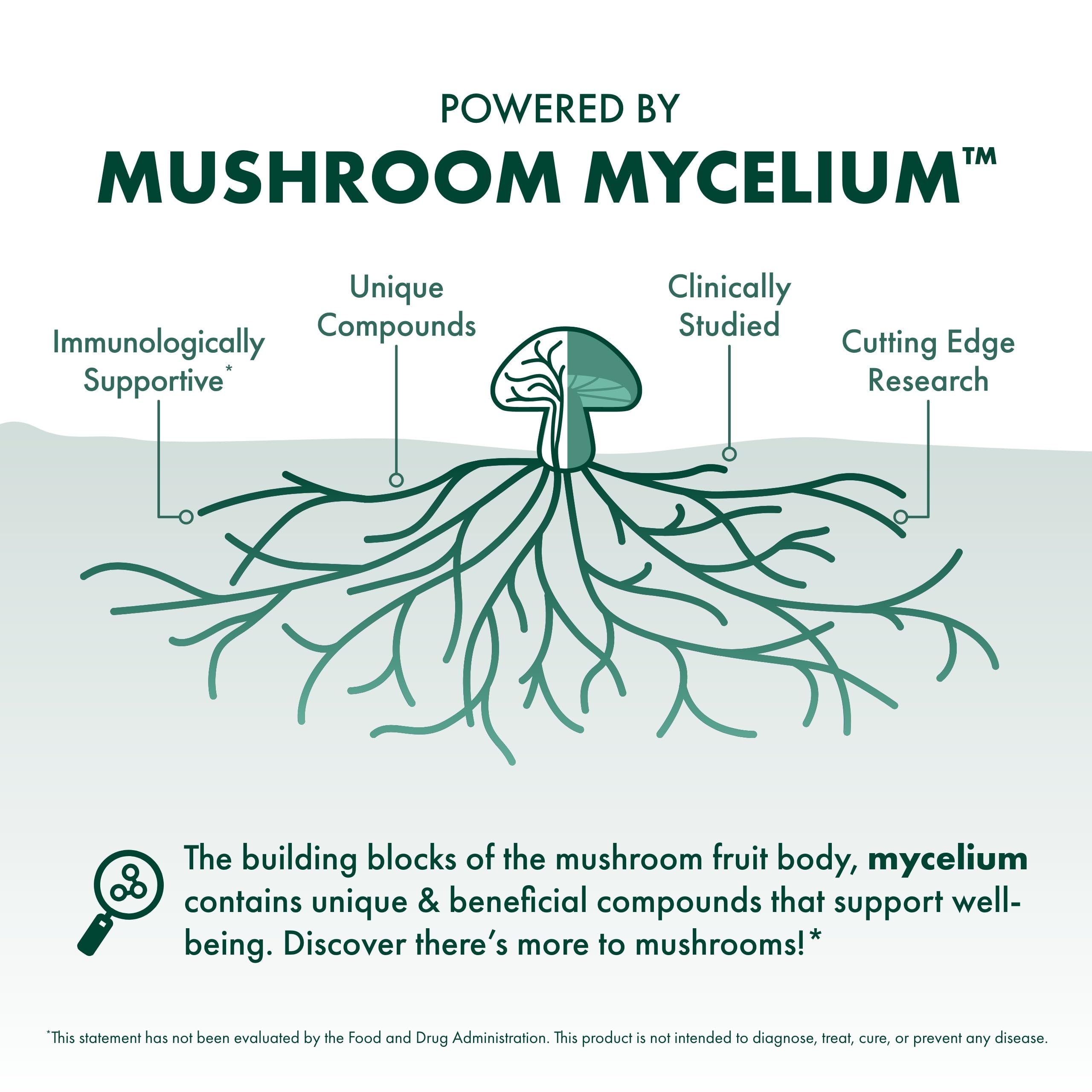 Mushroom mycelium for vitality