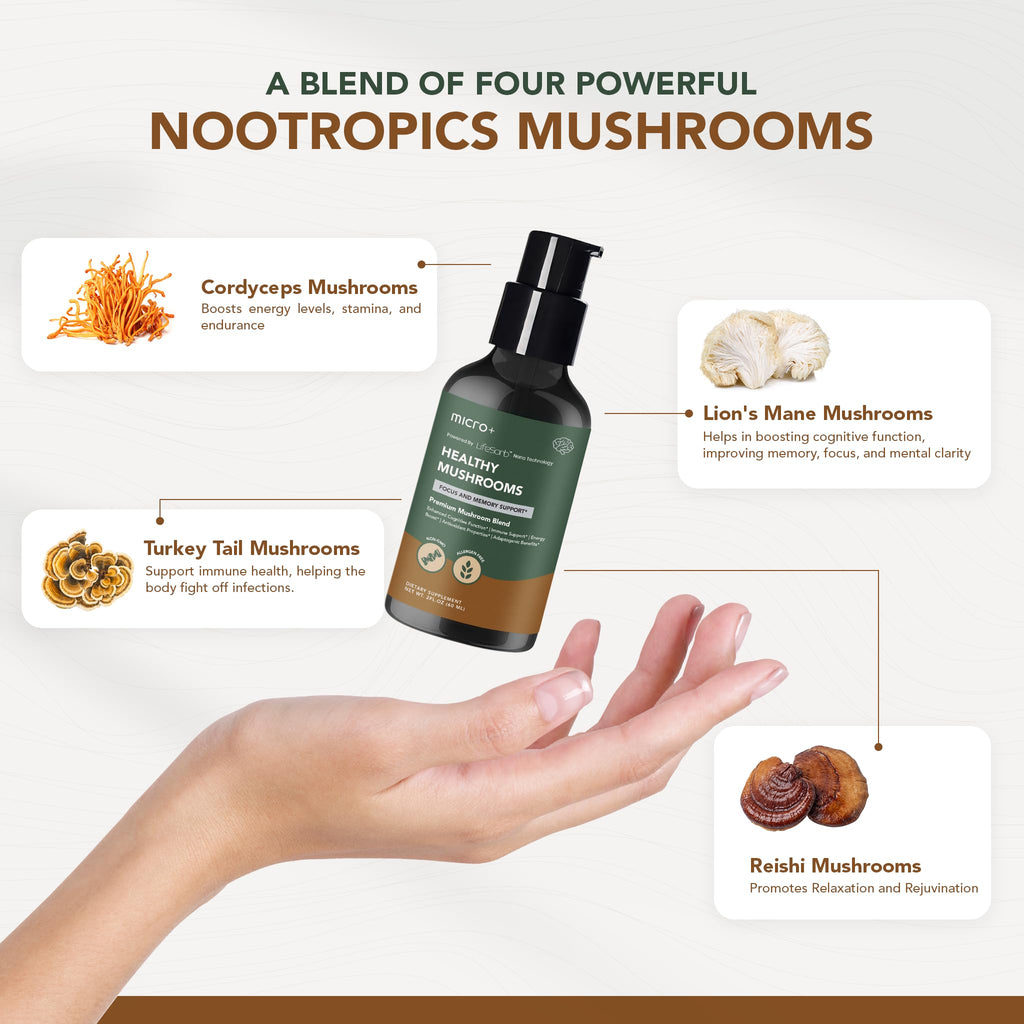 mushroom nootropic for daily use
