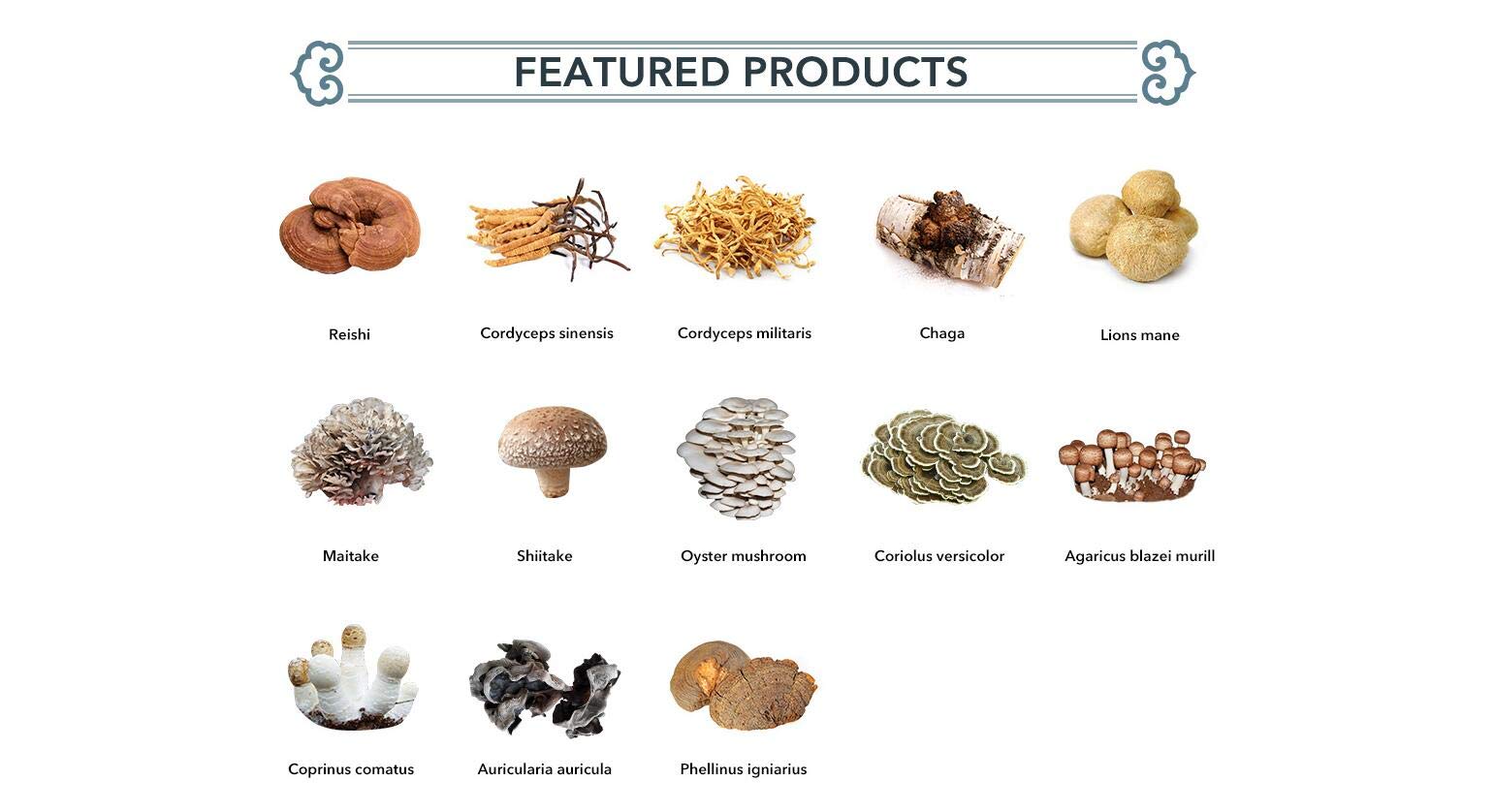mushroom oil for wellness benefits