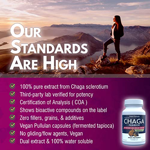 mushroom powder for antioxidant support
