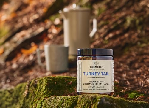 Mushroom powder for better digestion