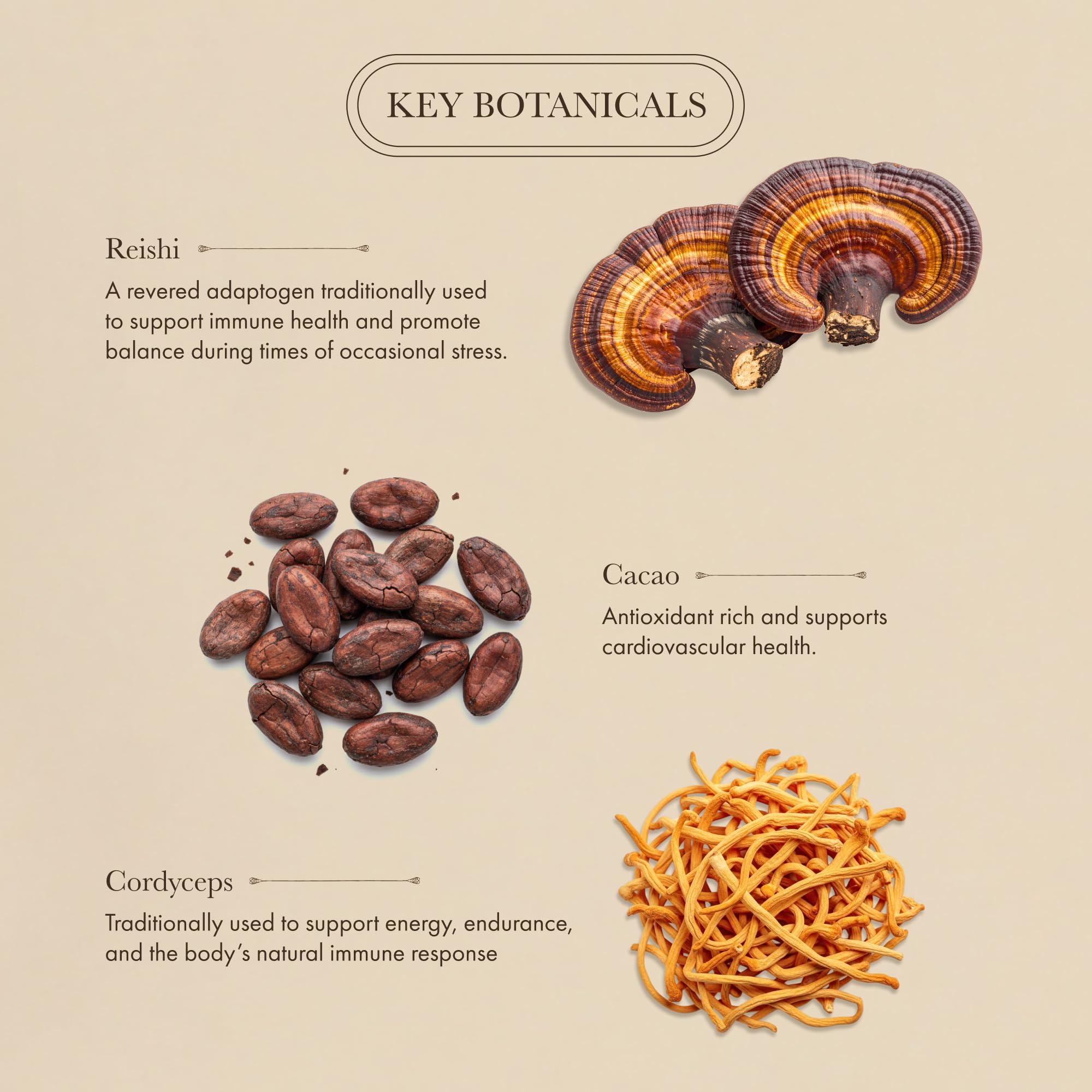 mushroom powder for coffee enhancement