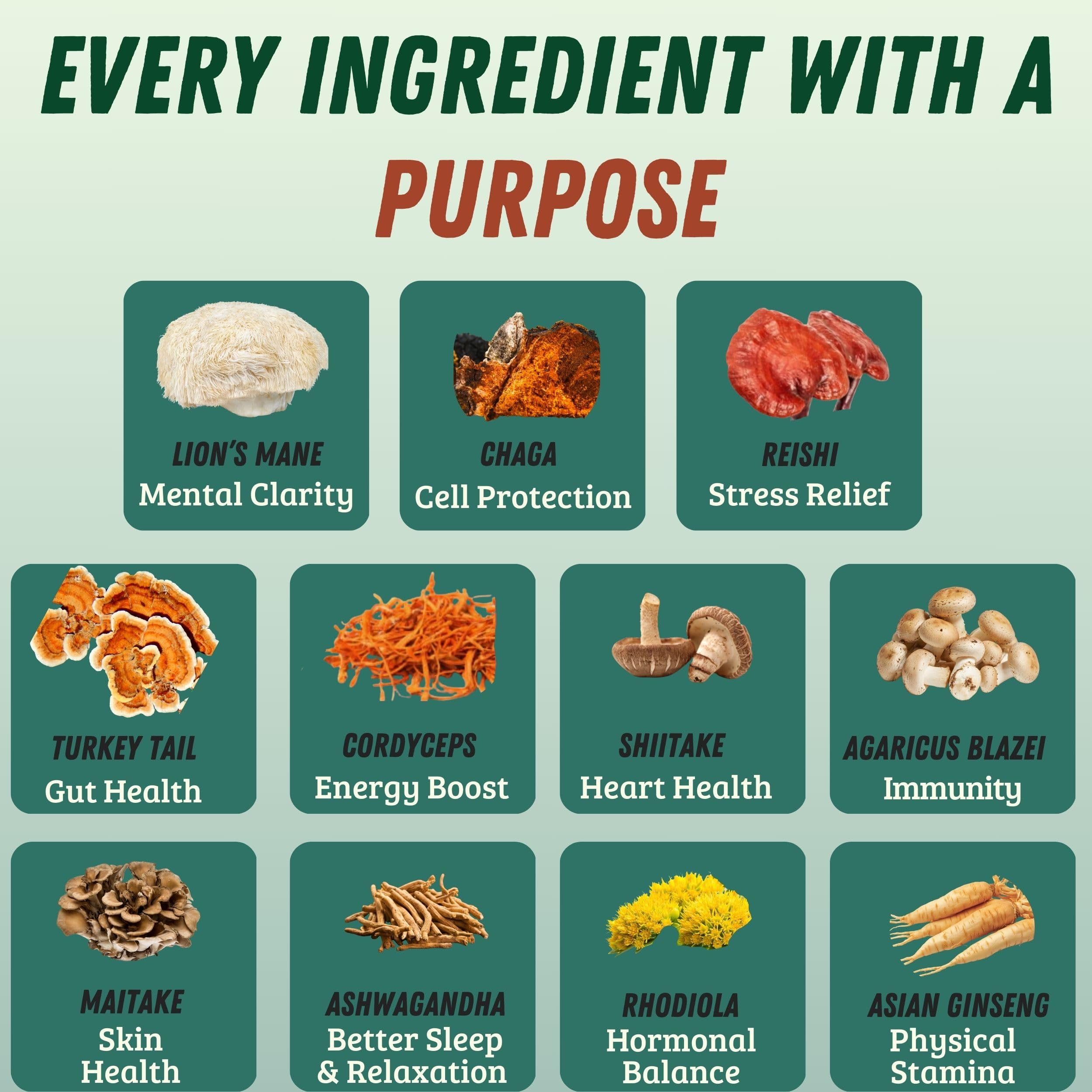 mushroom powder for coffee enhancement
