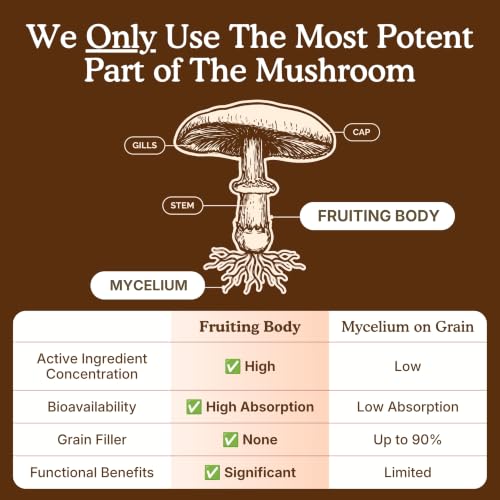 mushroom powder for cognitive support