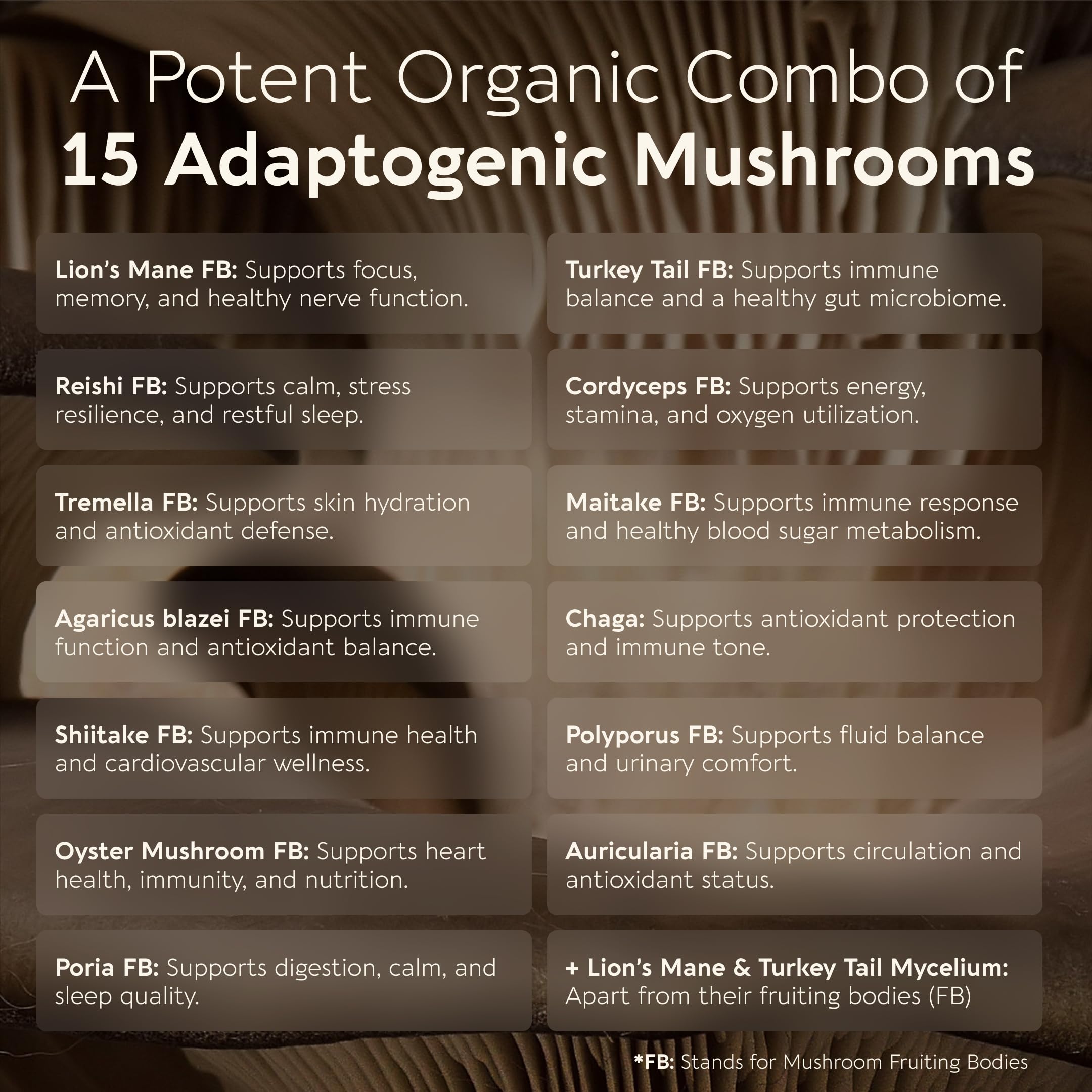 mushroom powder for daily health