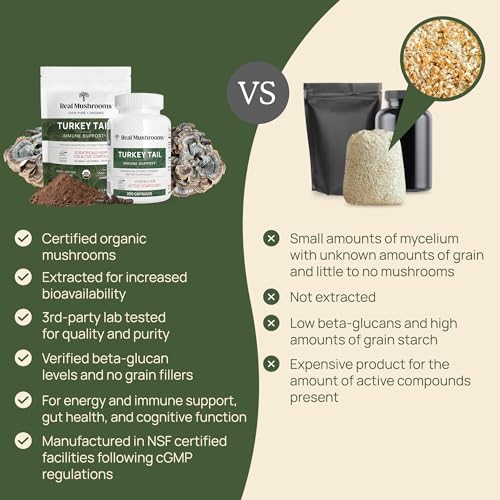 mushroom powder for daily health