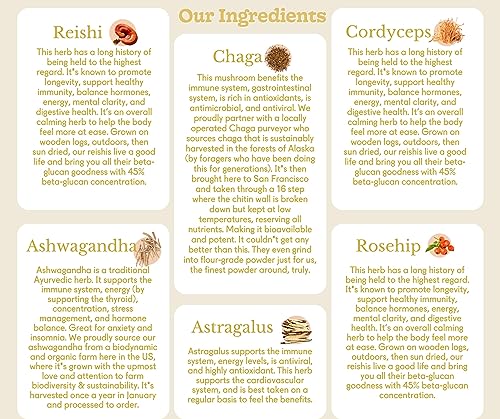 mushroom powder for daily nutrition