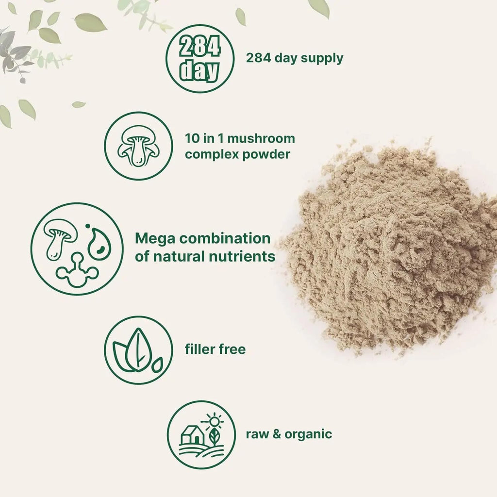 mushroom powder for daily nutrition