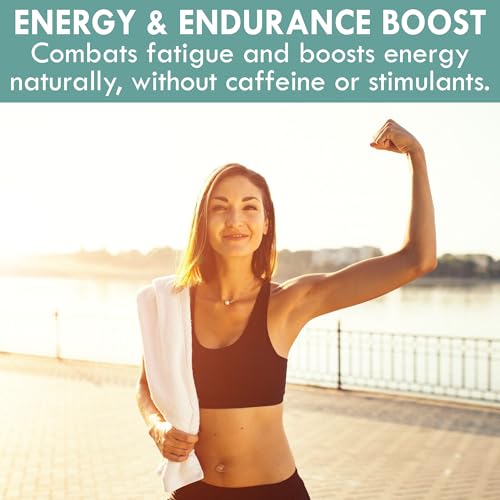 mushroom powder for daily nutrition