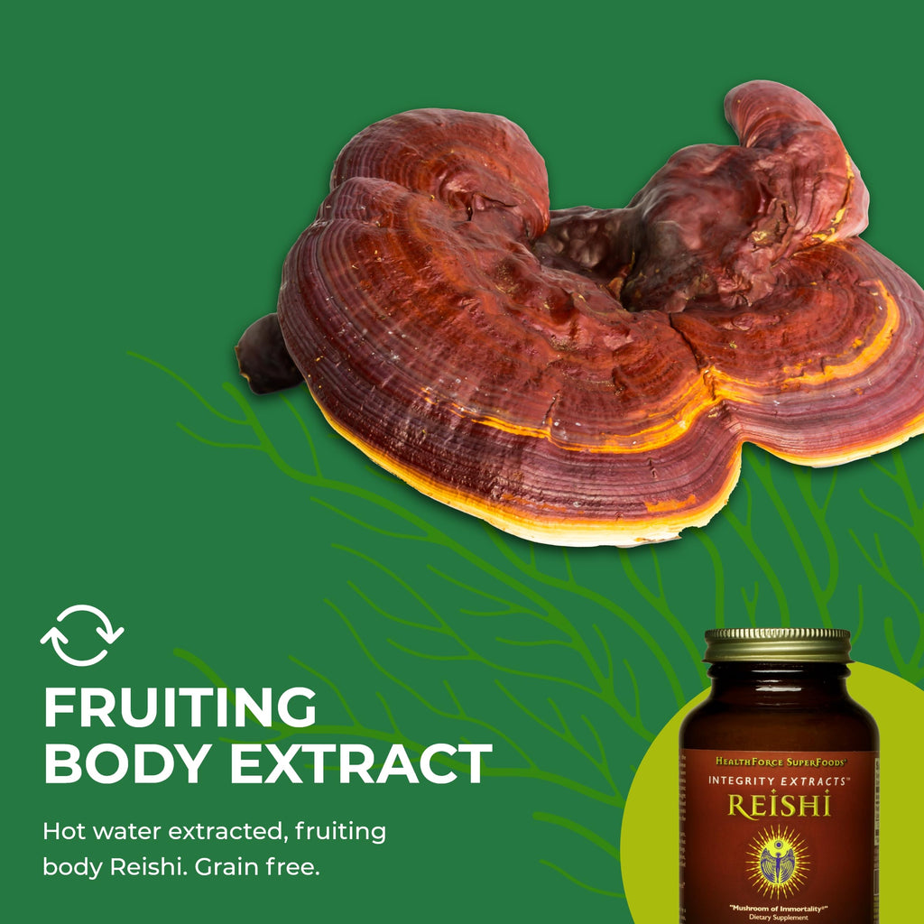 mushroom powder for daily nutrition