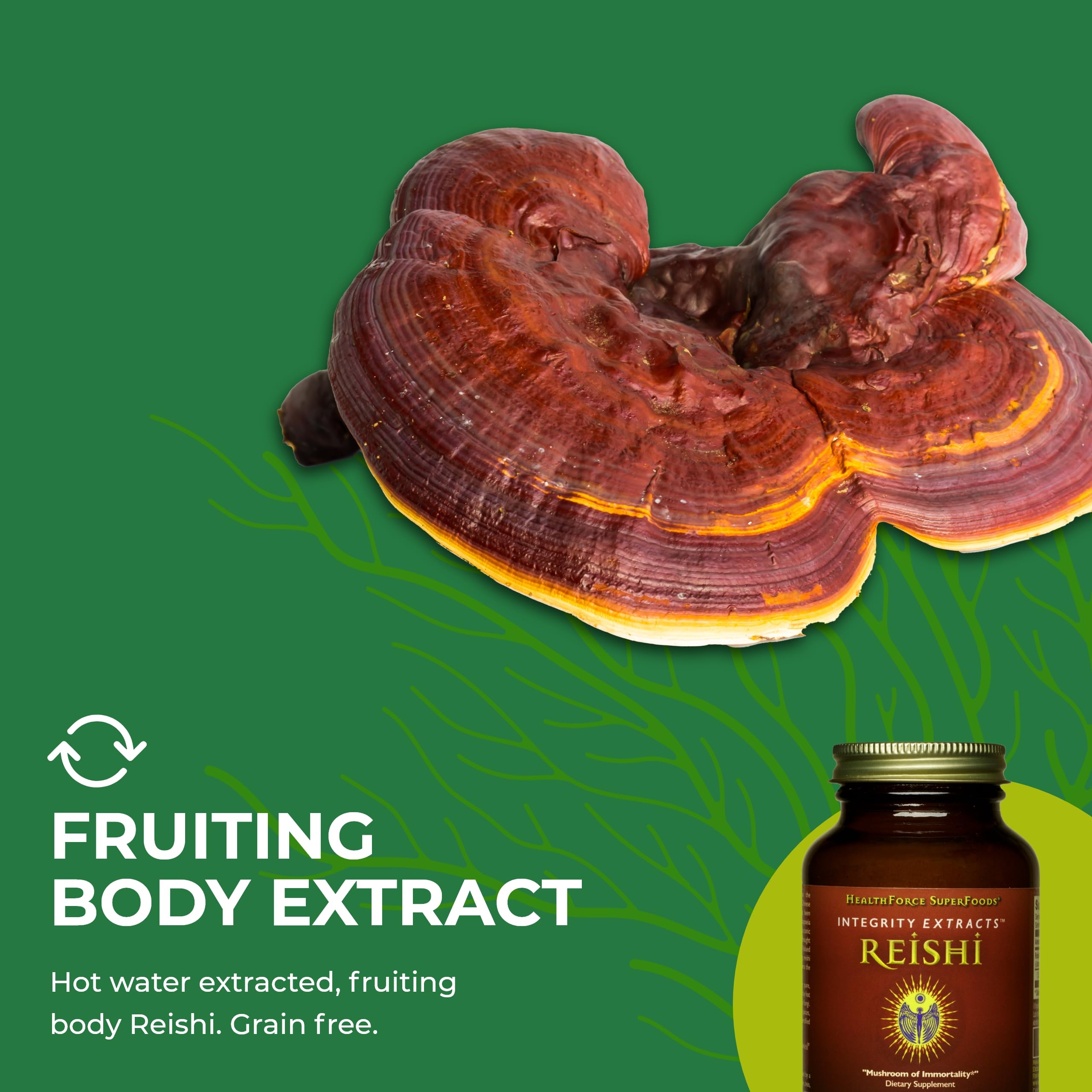 mushroom powder for daily nutrition
