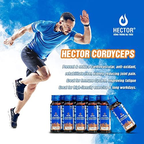 mushroom powder for daily vitality